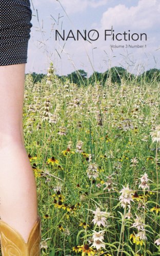 NANO Fiction Volume 3 Number 1 eBook : Fiction, NANO , Chen, Jimmy ...