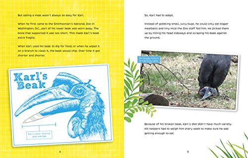 Snapklik.com : Karls New Beak: 3-d Printing Builds A Bird A Better Life ...