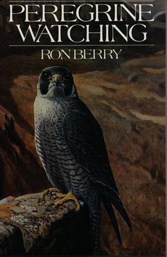 Peregrine Watching: Ron Berry: 9780863833625: Amazon.com: Books