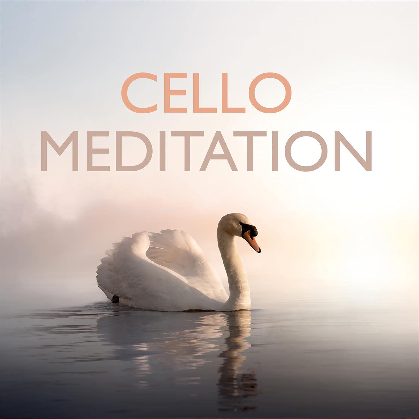 6 Pieces, Op. 19: No. 4, Nocturne (Version for Cello and Orchestra ...