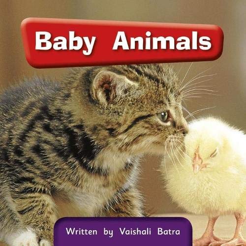 Springboard Connect 3e Baby Animals : Batra, Vaishali: Amazon.fr: Livres