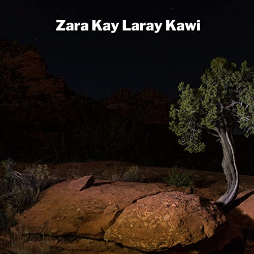 Amazon.co.jp: Zara Kay Laray Kawi : Pashto Kulture featuring Chahat ...