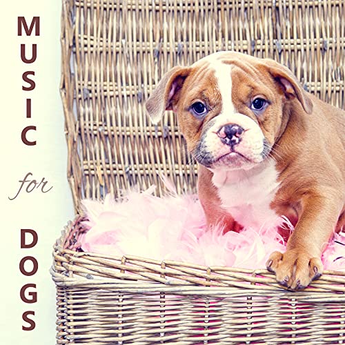 Amazon Music Unlimited - Pet Music Academy 『Music for Dogs – Relax ...