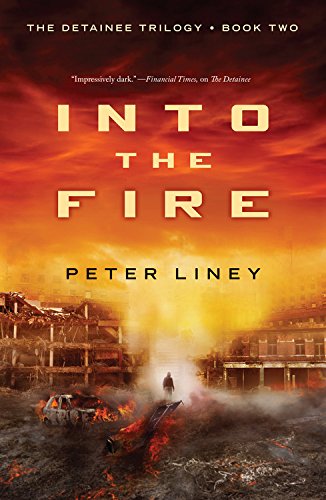 Into The Fire (The Detainee Series): Liney, Peter: 9781623657116 ...