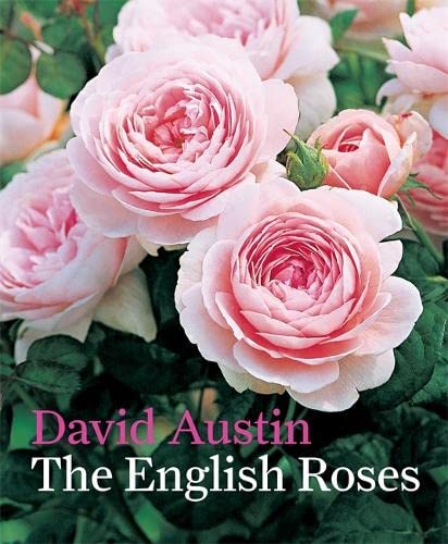 English Roses: David Austin: 9781840915549: Amazon.com: Books