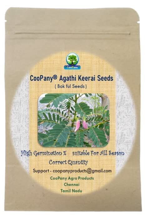 Chillatai® BOKFUL -AGASTHI - AGATHI KEERAI Seeds Pack of 50 Seeds ...