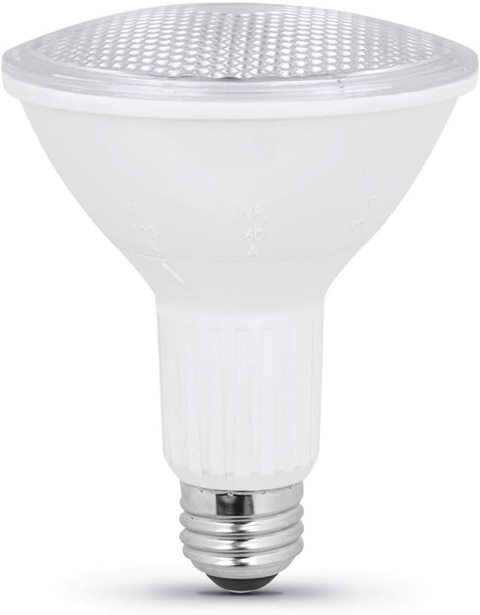 Amazon.com: Feit Electric PAR30L 75W Equivalent LED Light Bulb ...