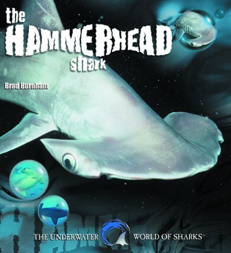 The Hammerhead Shark (The Underwater World of Sharks): Burnham, Brad ...