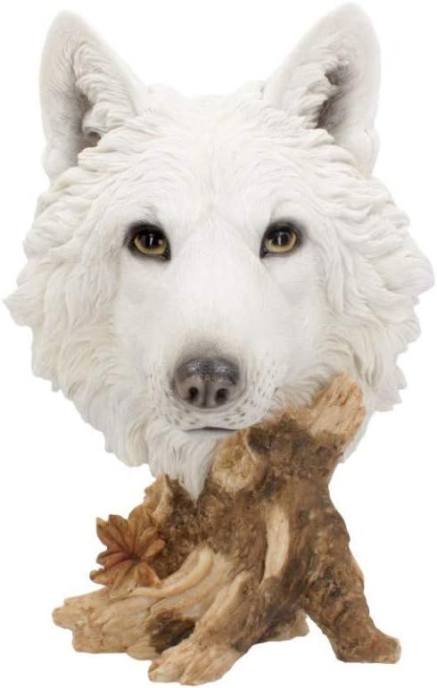 Nemesis Now U4774P9 Winter Offspring Figurine 27.5cm, Resin, White, One ...
