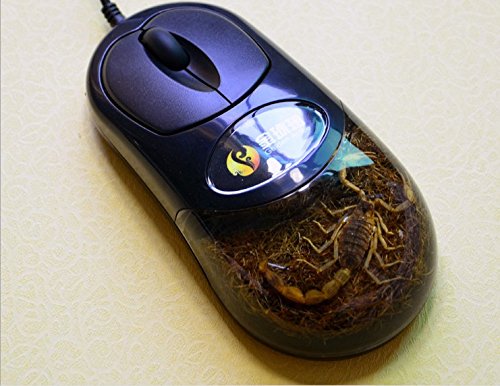 Amazon.com: Scorpion Computer Mouse Mice with USB with Glow in the ...