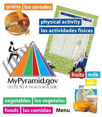 MyPyramid.gov Bulletin Board Set: 9780768234527: Books - Amazon.ca