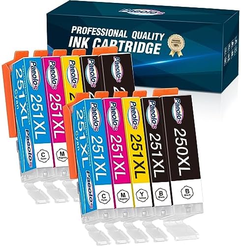 Amazon.com: 250XL 251XL Ink Cartridges, Replacements for Canon 250 and ...