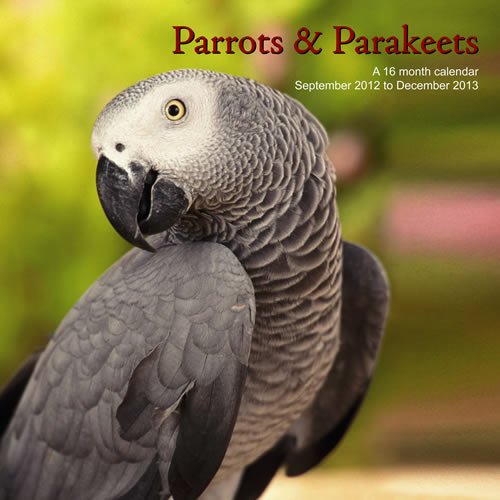 Parrot and Parakeets 2013 Wall Calendar #MGANM12: Magnum: 9781617912108 ...