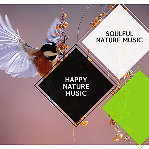 Happy Nature Music - Soulful Nature Music by VARIOUS ARTISTS on Amazon ...
