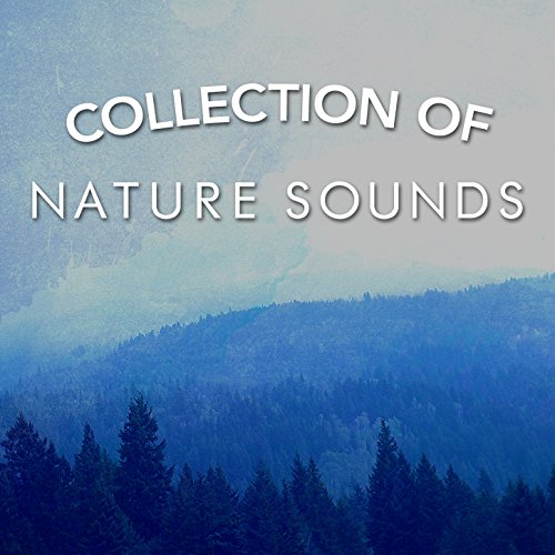 Amazon MusicでNature Sound CollectionのCollection of Nature Soundsを再生する
