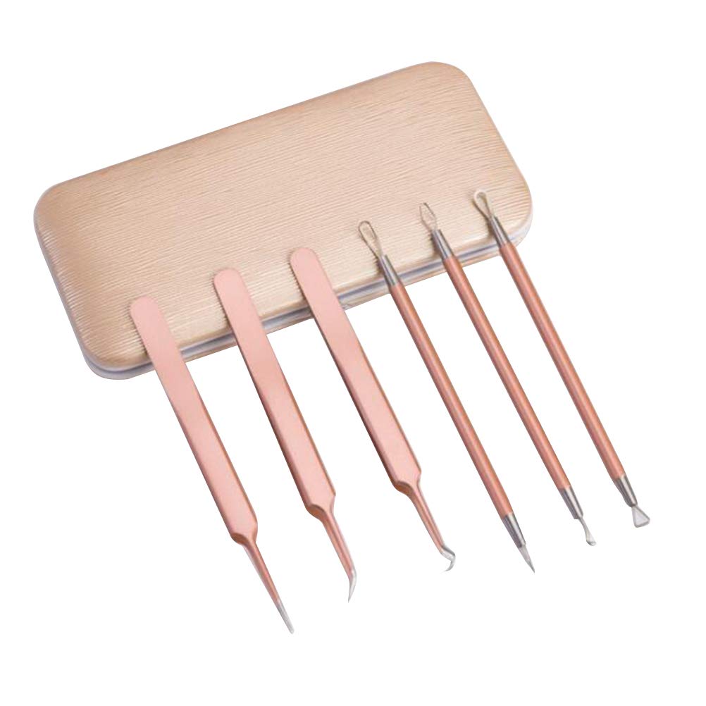 6pcs Blackhead Acne Pin Stainless Steel Pin for Blackhead Remove Pimple ...