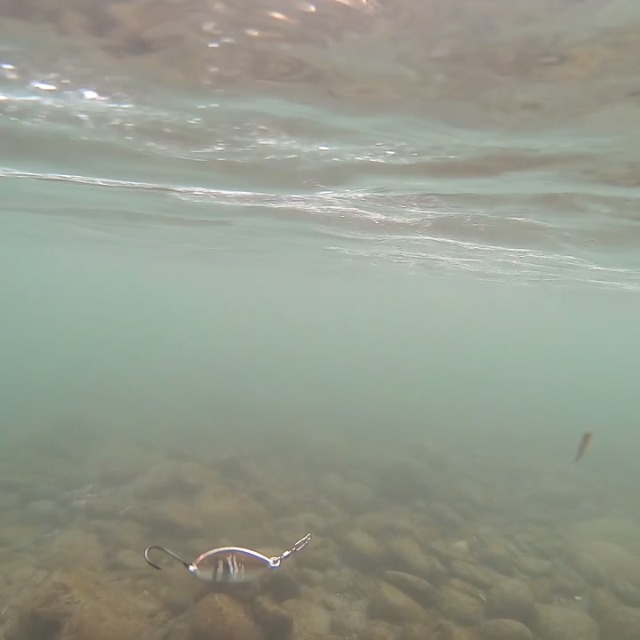 Watch Underwater Spoon Action on Amazon Live