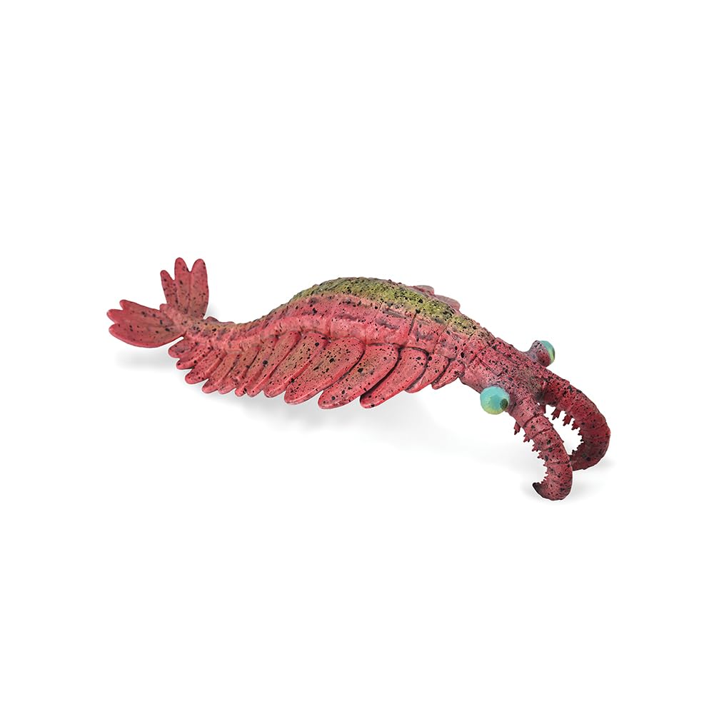 CollectA Anomalocaris - Realistic Dinosaur Toys, Dinosaur Gifts, Great ...
