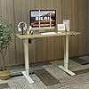 Amazon | BilBil デスク パソコンラック つくえ 電動昇降式 机 120CM×60CM 電動式スタンディングデスク オフィスワークテーブル 昇降式机 ゲーミングデスク 電動式 高 ...