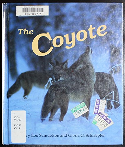 The Coyote (Dillon Remarkable Animals Book): Samuelson, Mary Lou ...