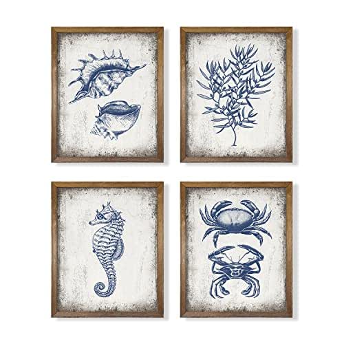 Amazon.com: Navy Blue Nautical Themed Wall Art - Seahorse Crab Sea ...