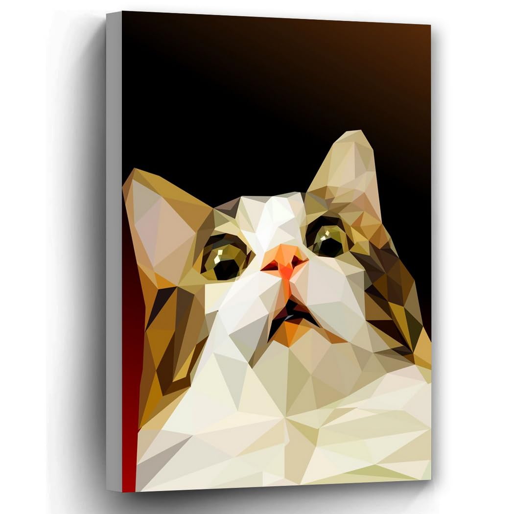 Meme De Gato Aterrorizado #fyp #meme #cat Háaa | TikTok
