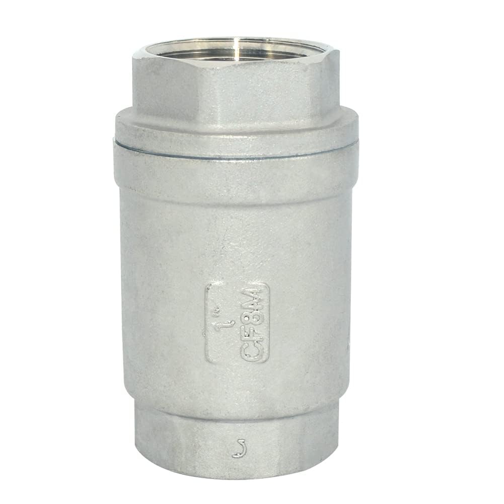 Snapklik.com : Megairon 1" NPT Female WOG1000 Check Valve, Spring ...