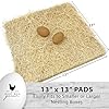 Amazon.com : Nest Box Queen, Excelsior Nest Box Pads for Hens - 13 Inch ...