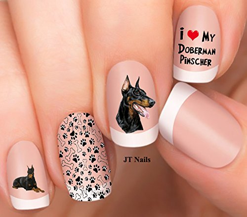 Doberman Design 1 Nail Art Decals : Amazon.in: Beauty