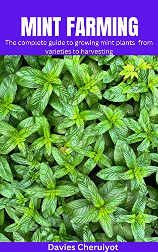 MINT FARMING: The complete guide to growing mint plant from varieties ...