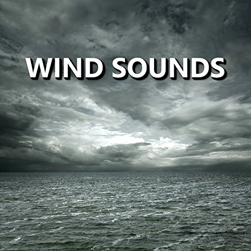 Amazon.com: Wind Sounds : Wind Sounds: Digital Music
