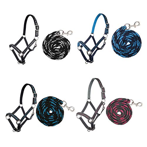 Die 16 besten Pony Halfter mit Strick - Haustierratgeber Ratgeber