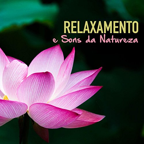 Amazon.com: Relaxamento e Sons da Natureza - Musicas para uma Melhor ...