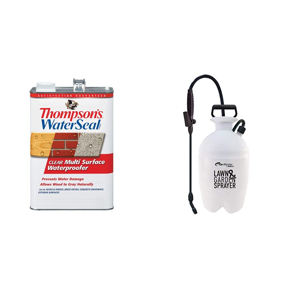 Thompson's WaterSeal TH.024101-16 Multi-Surface Waterproofer, Clear, 1 ...