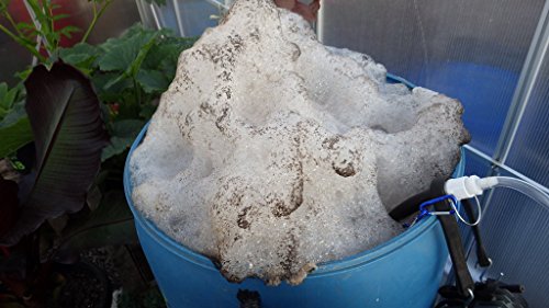 Compost Tea: What is it, how to use it and does it work?