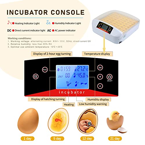 Snapklik.com : Meuiosd Egg Incubator 56 Eggs Fully Automatic Egg Incubator