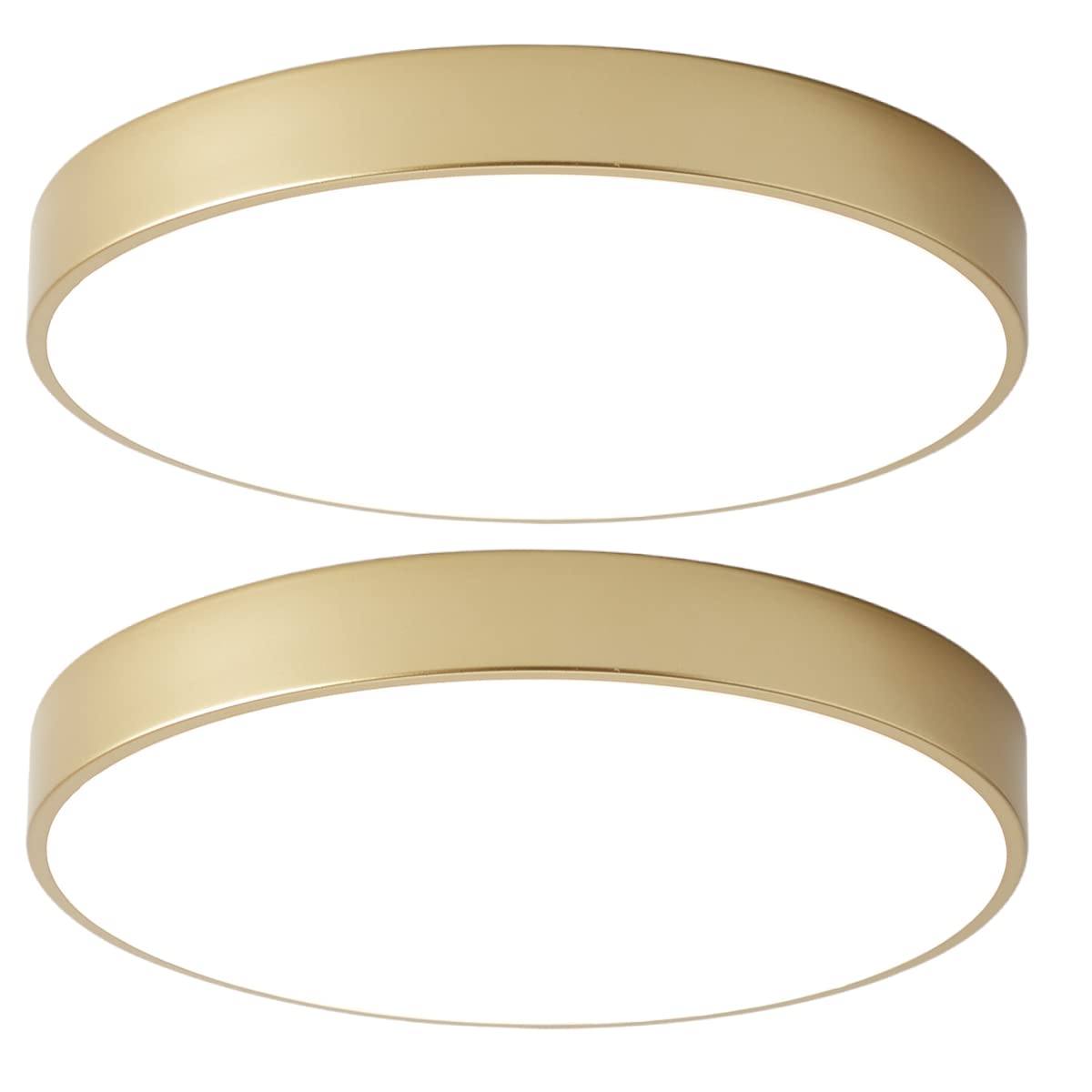 Wheatronic 2 Pack Overhead Flush Mount Ceiling Light Interior 12 inch ...