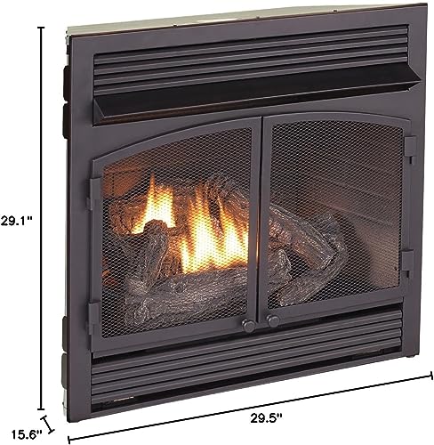 Duluth Forge Dual Fuel Ventless Gas Fireplace Insert, Remote Control, 6 ...