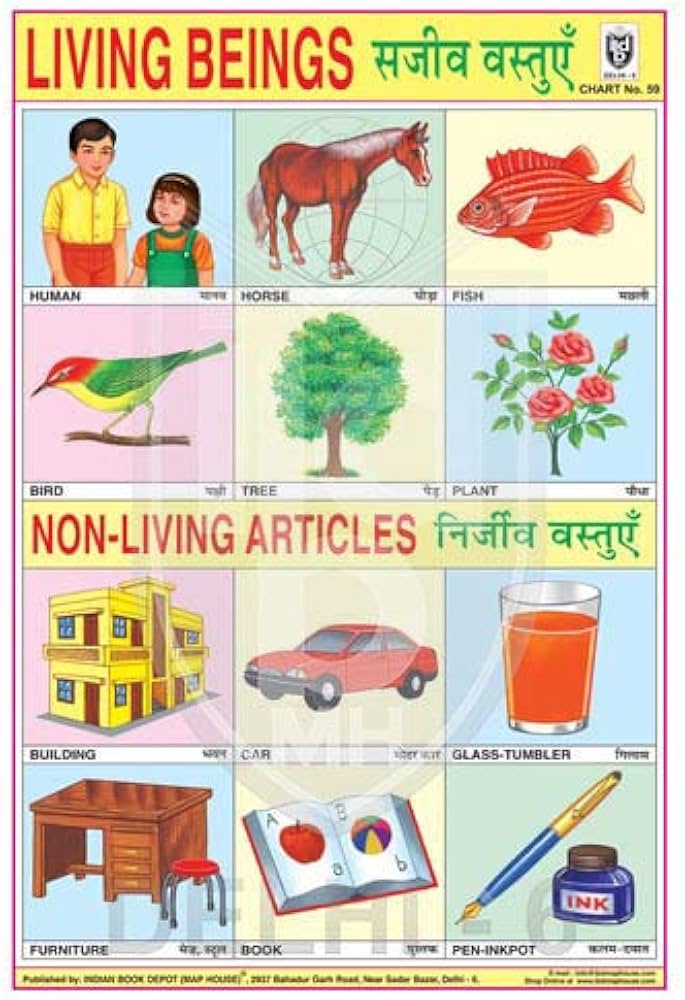 Update More Than 149 Living Things Drawing Best Vietkidsiq edu vn update-more-than-149-living-things-drawing-best-vietkidsiq-edu-vn