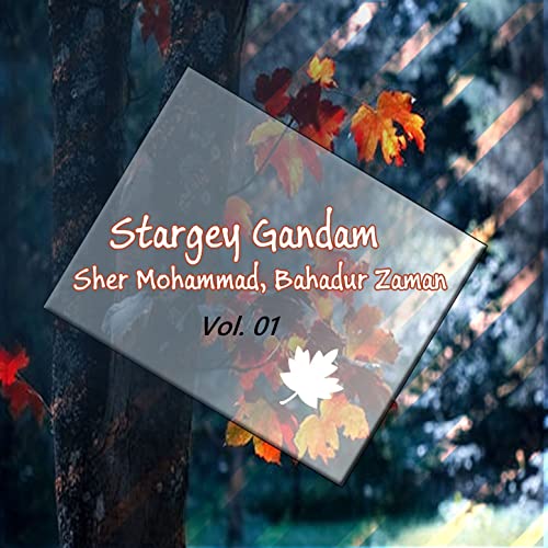 Amazon.co.jp: Stargey Gandam, Vol. 01 : Sher Mohammad: Digital Music