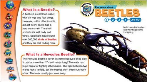 Insect Army - Infosteps (B18): Coupe: 9781877295621: Amazon.com: Books