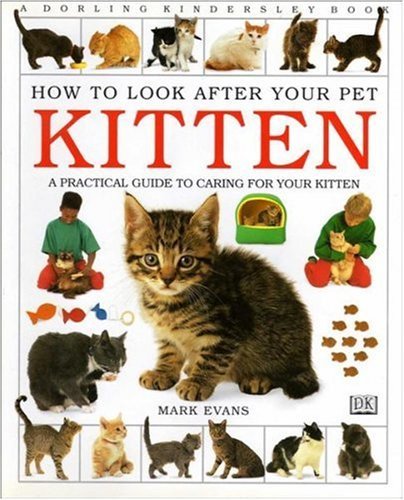 A Practical Guide to Caring For Your Kitten (How to Look After Your Pet ...