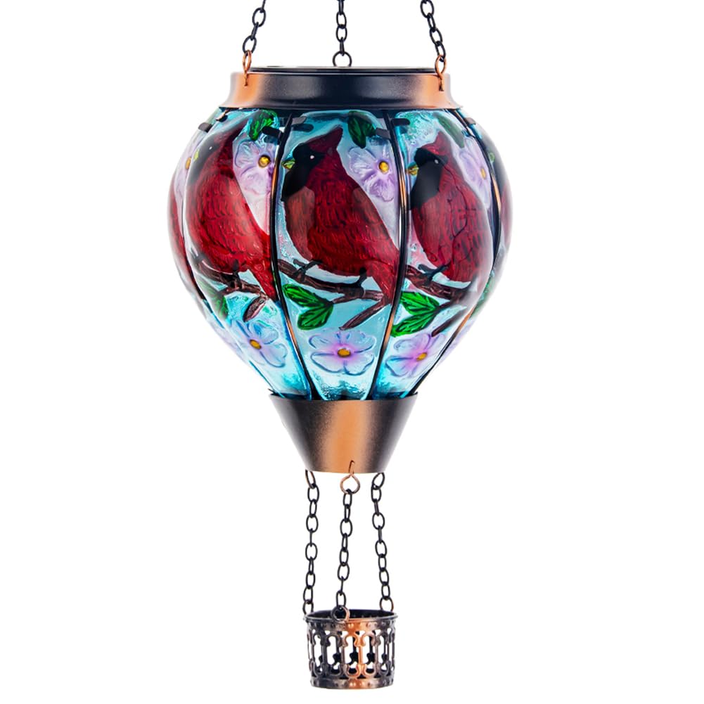 Amazon.com: DREAMSOUL Cardinal Hot Air Balloon Solar Lantern, Hanging ...