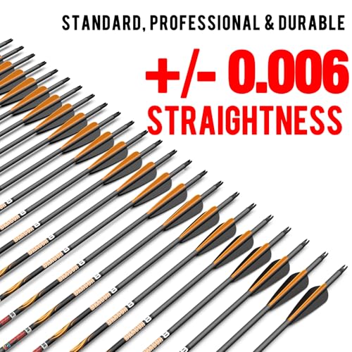 Sanlida Archery Dragon 8 Carbon Hunting Arrows for Hunters 24Pcs 300 ...