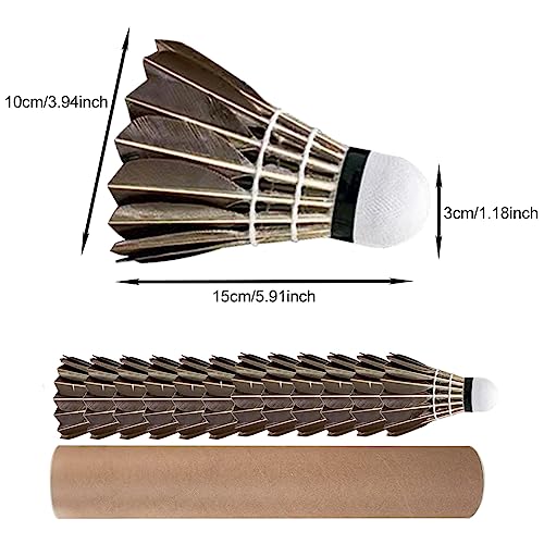 12pcs Badminton Shuttlecocks Badminton Birdie with Storage Tube Duck ...