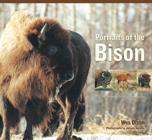 Portraits of the Bison: An Illustrated Guide to Bison Society by Mr ...