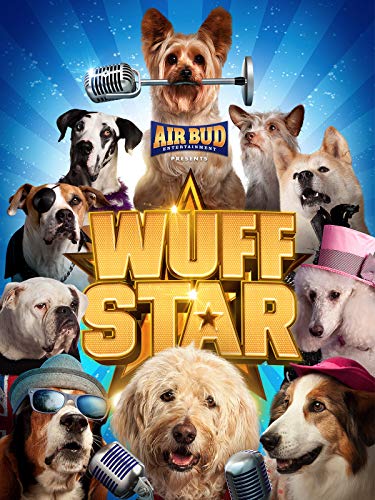 Air Terrier – Die 15 besten Produkte im Vergleich - HundeINFOPortal