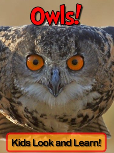 Owls! Learn About Owls and Enjoy Colorful Pictures - Look and Learn ...