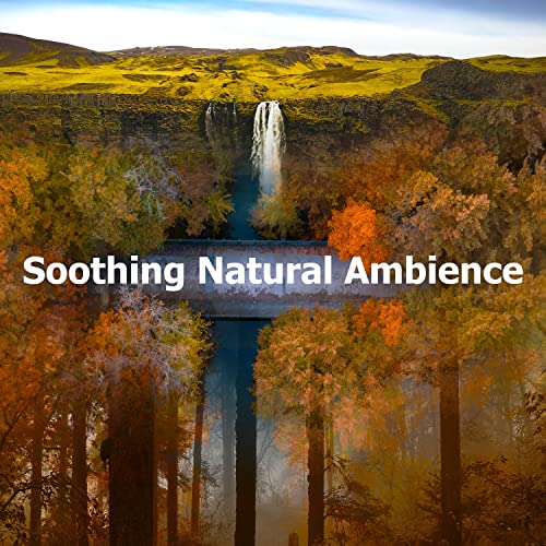 Amazon.com: Soothing Natural Ambience : Wilderness: Digital Music