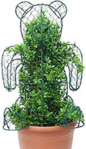 Topiary Teddy Bear Frame and Plant 3D Medium : Amazon.co.uk: Garden
